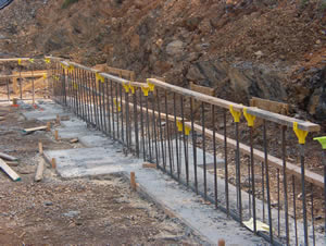 Carnie Cap - Rebar Safety Caps